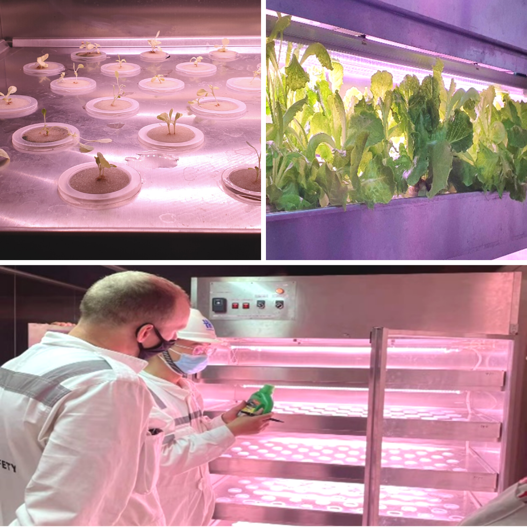 EPS Harnesses Hydroponics - Eastern Pacific Shipping | Eastern Pacific ...